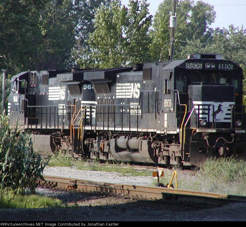 NS 8806 and NS 9648